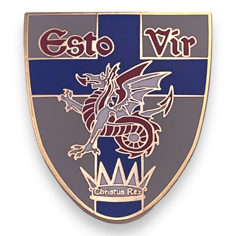 Cloisonne Hard Enamel Lapel Pins - Imported - PINLINE